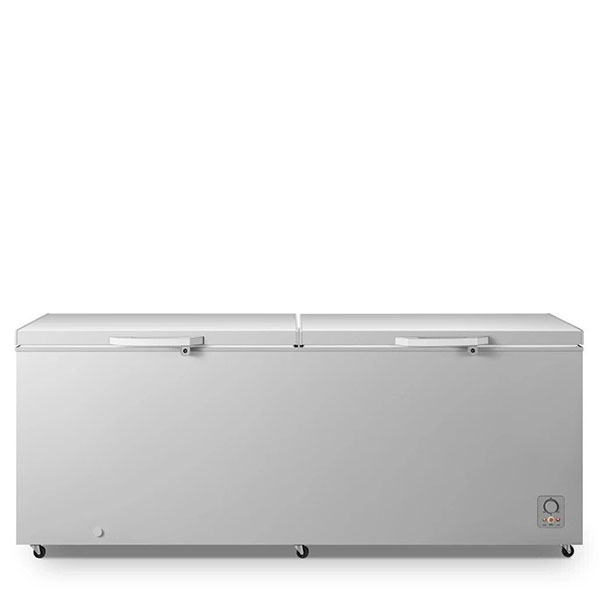 Hisense 702 Liters Deep Freezer (FRZ 91DD) - Benue House